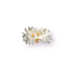 Pikake Jasmine – Moku Pua